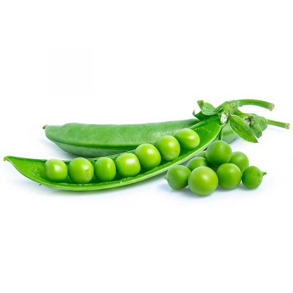 Grašak – poljovrt sjeme povrća, cvijeća i začina