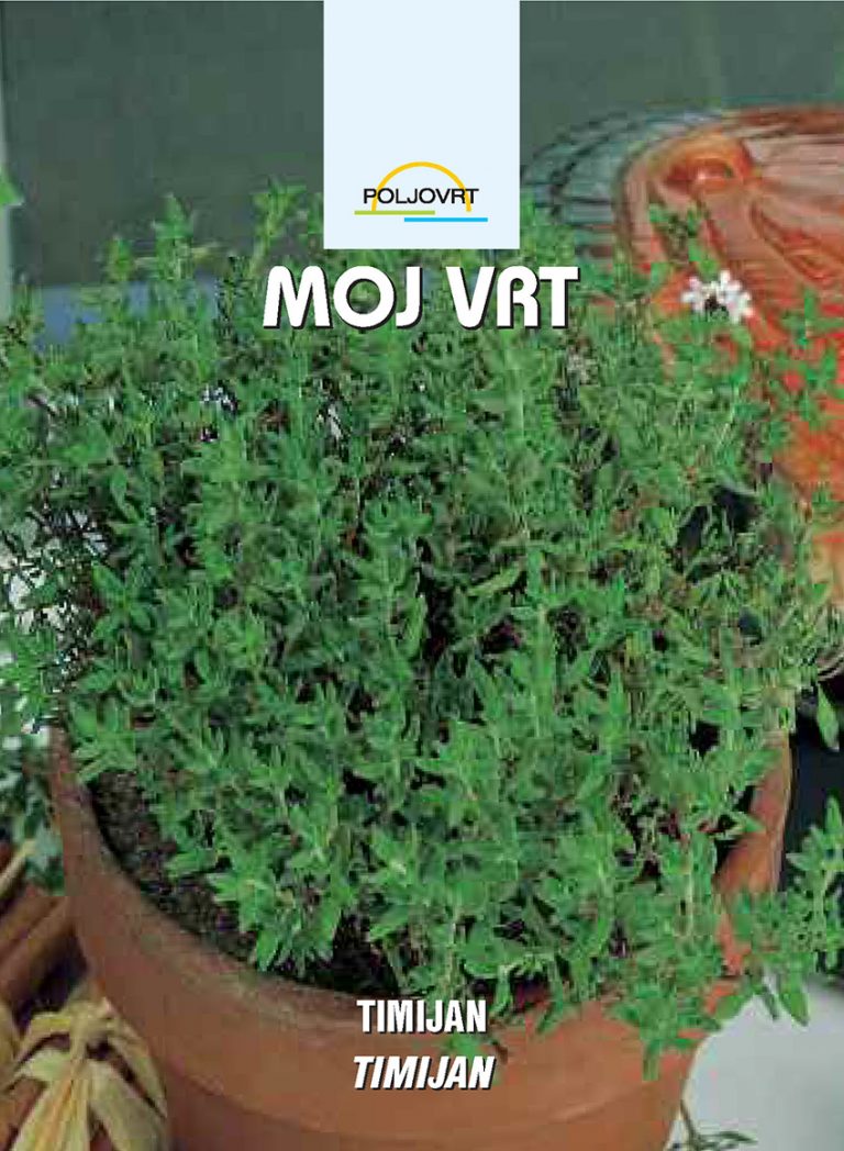 Timijan – poljovrt sjeme povrća, cvijeća i začina